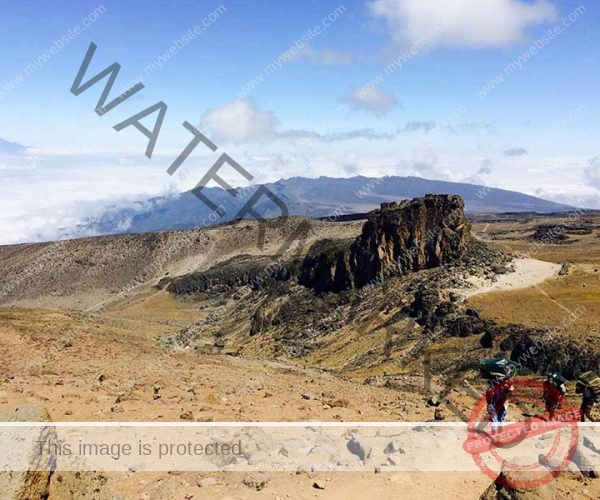 7 Days Machame Route - Gecko Adventure