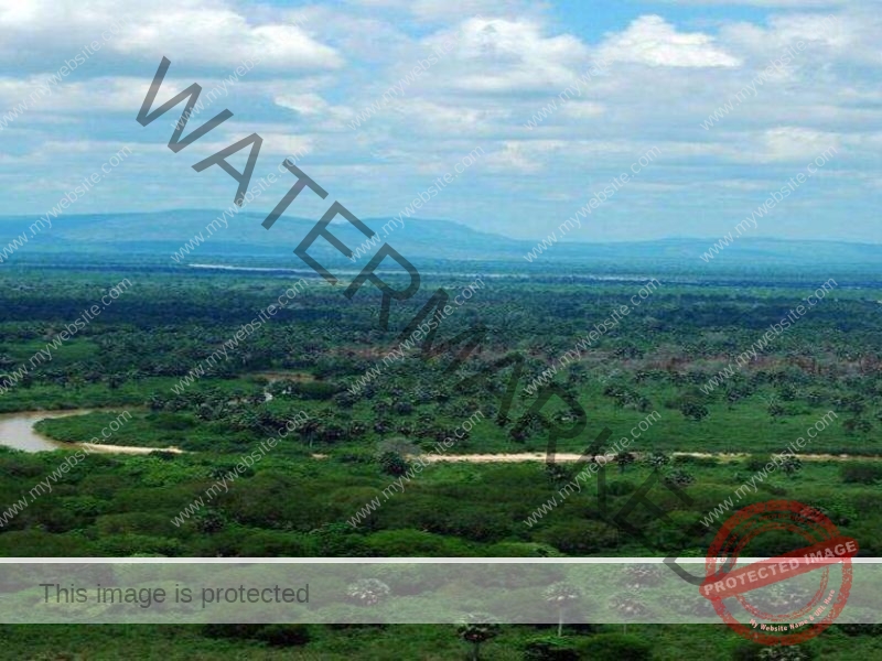 Ugalla River National Park - Safaris in Tanzania and Zanzibar